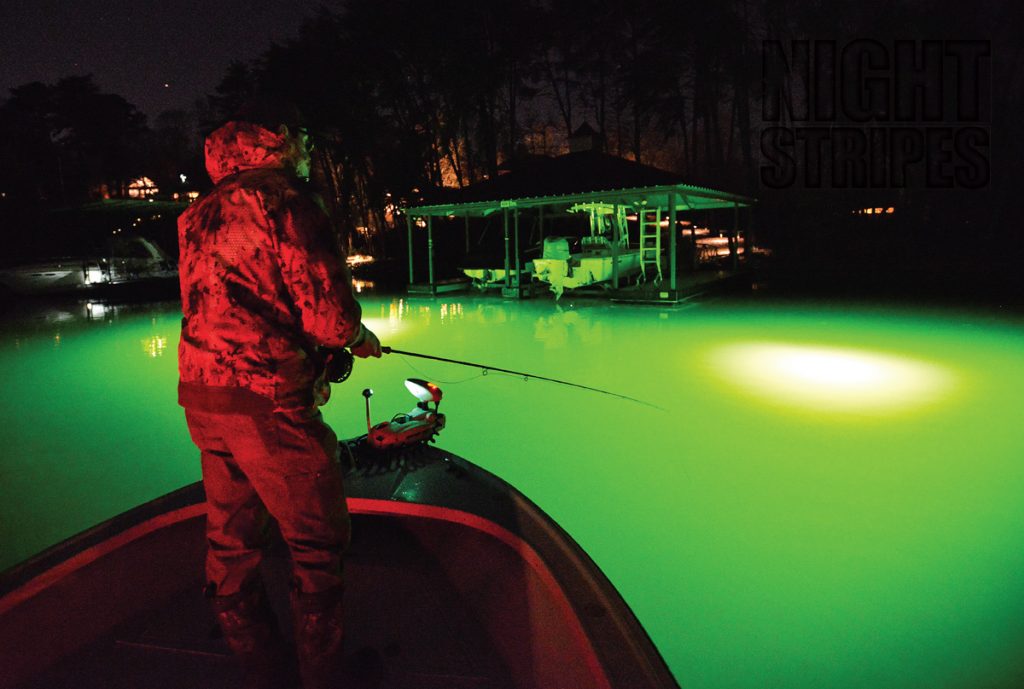 Beat The Heat Why Night Fishing Is The Ultimate Summer Hack Ugl
